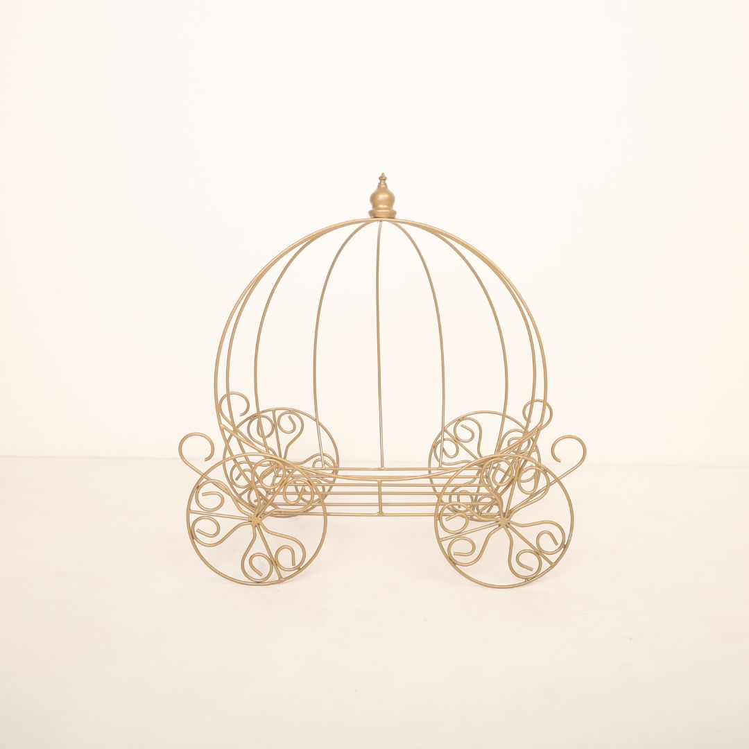 Golden Metal Carriage Baby Photoshoot Prop – whiteihf