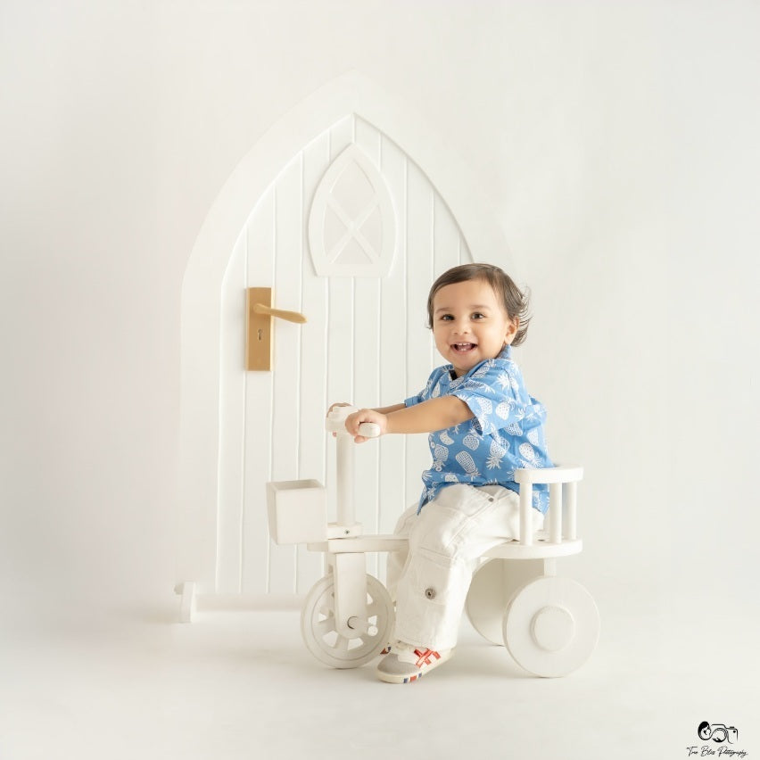 Wooden Door/Gate Baby Prop – Perfect Baby Photoshoot Prop for Versatil ...