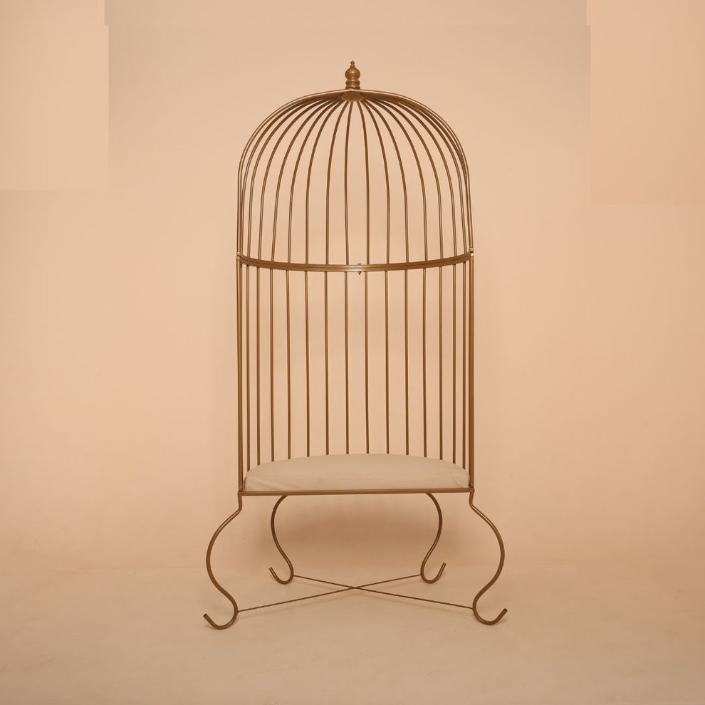Metal Cage Prop for Maternity & Toddler Baby Photoshoot – whiteihf